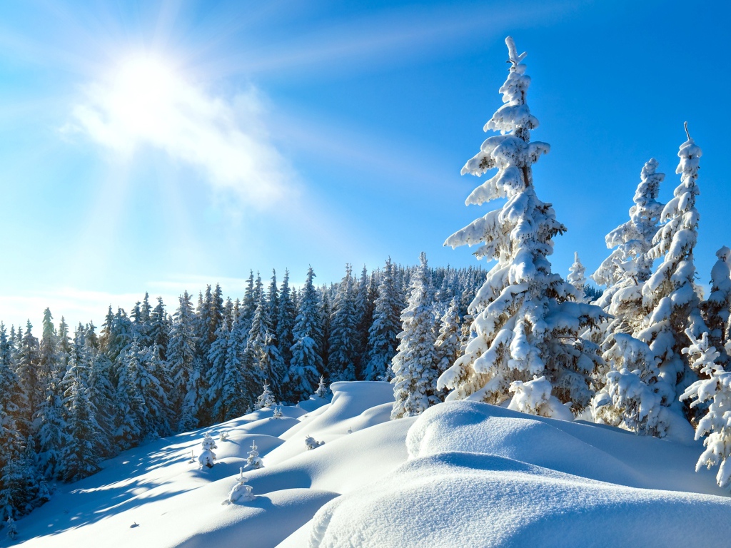 winter desktop background wallpaper