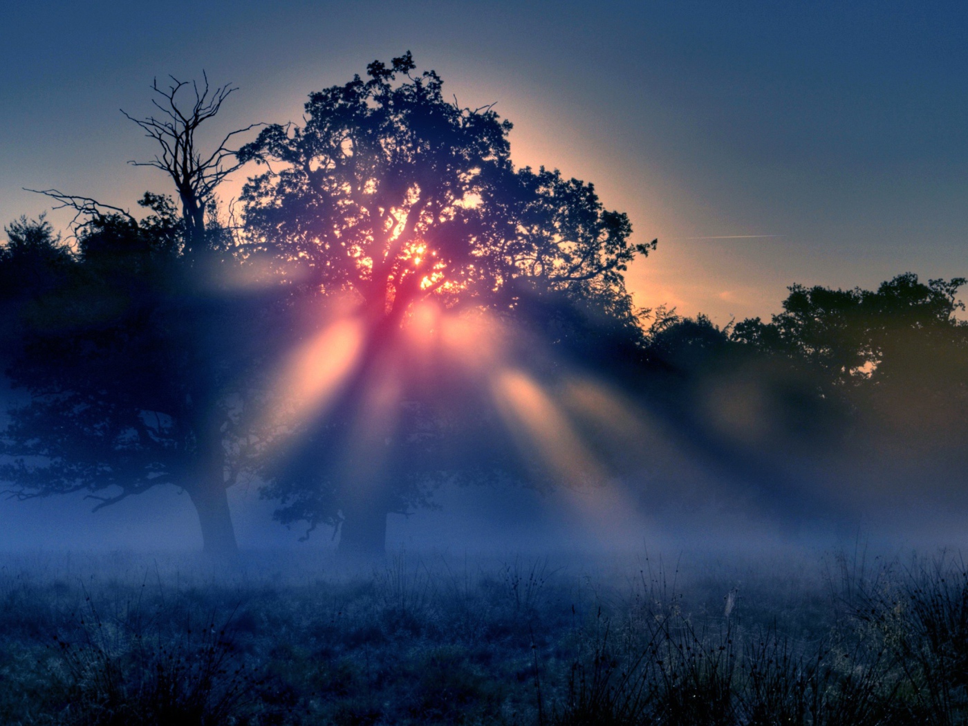 The sun through a fog Desktop wallpapers 1400x1050