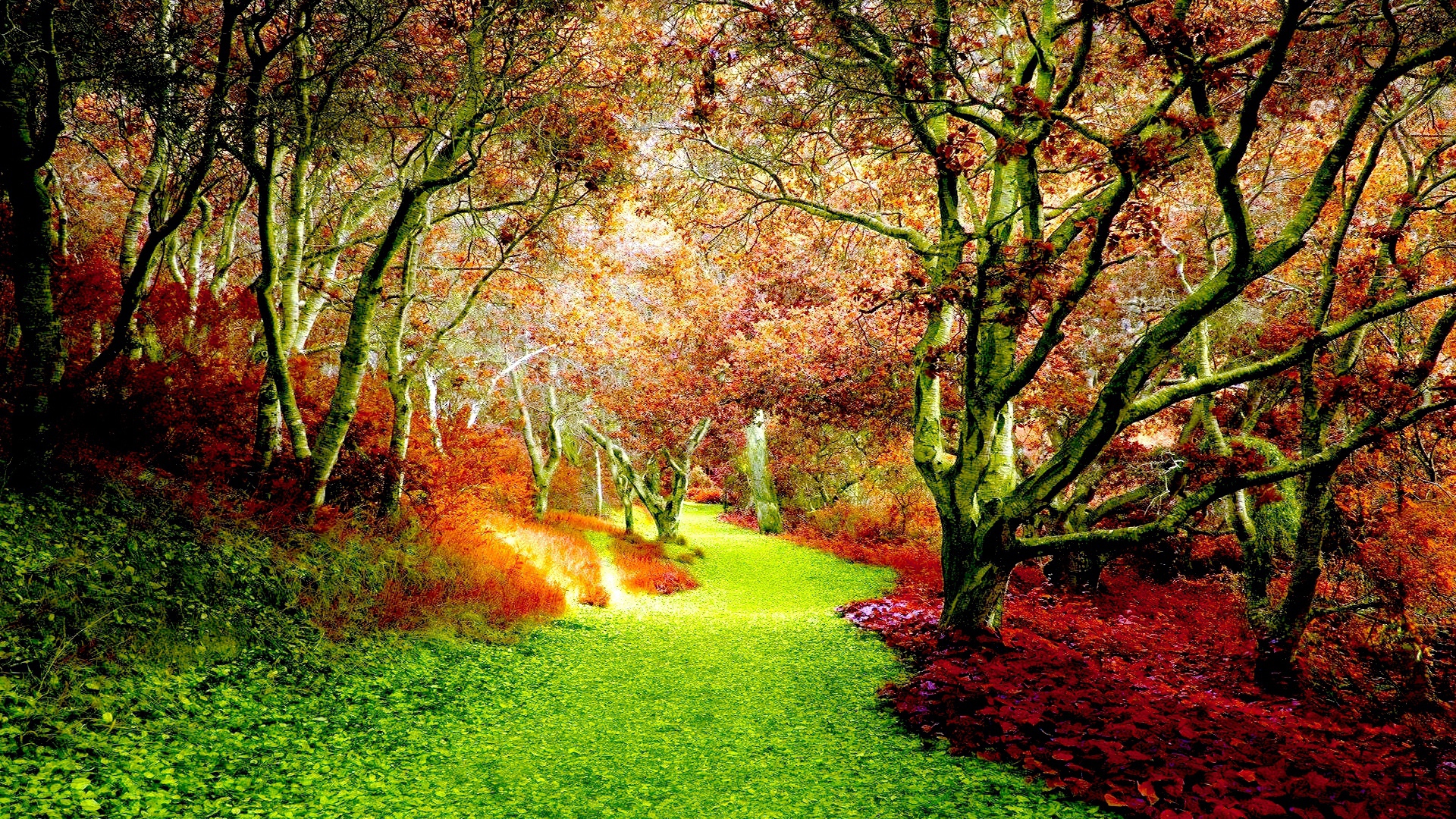 Early Fall Pictures For Desktop Weather For The Week Ahead