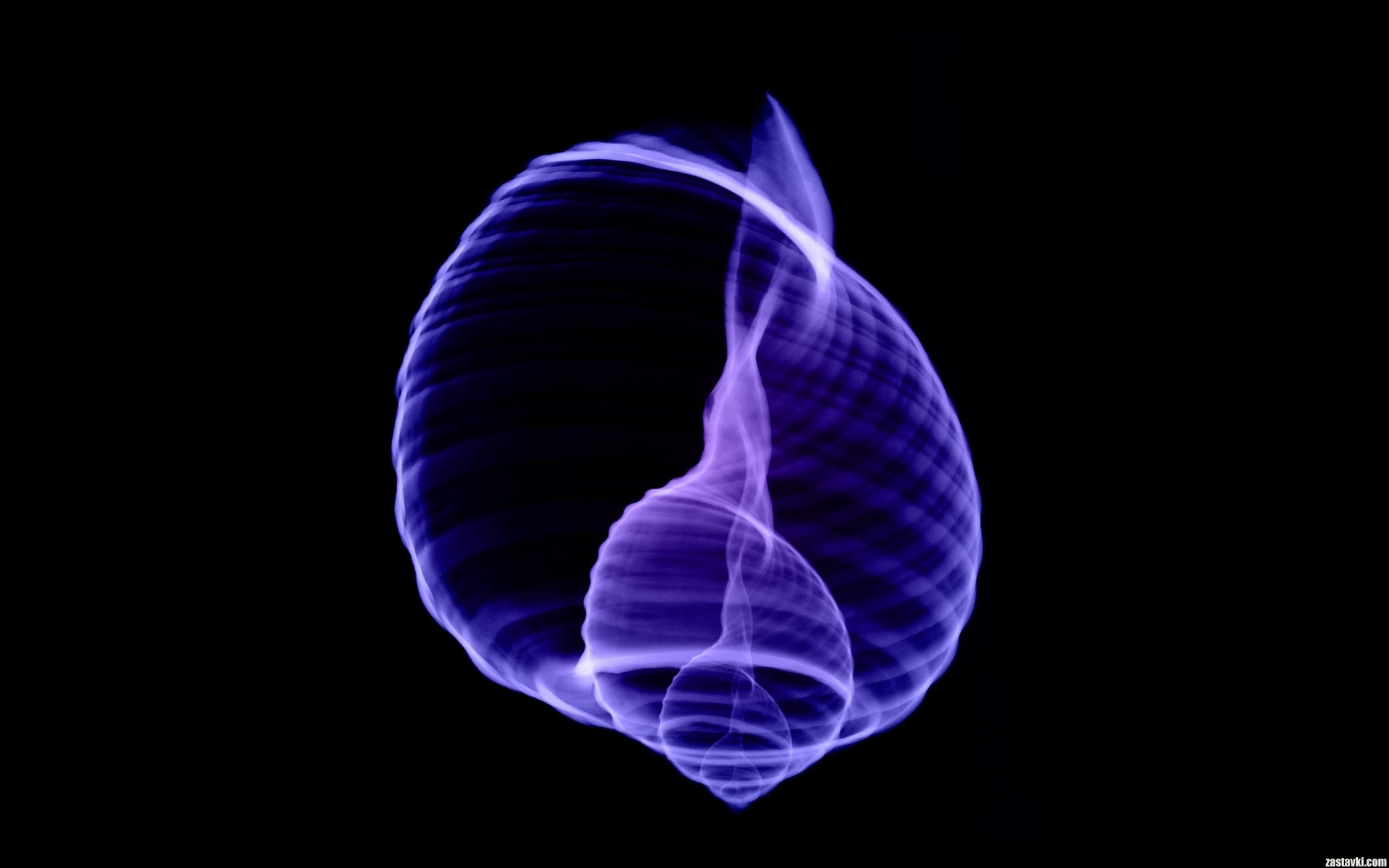 Мобильный сканер ракушка - обои для рабочего стола, картинки, фото