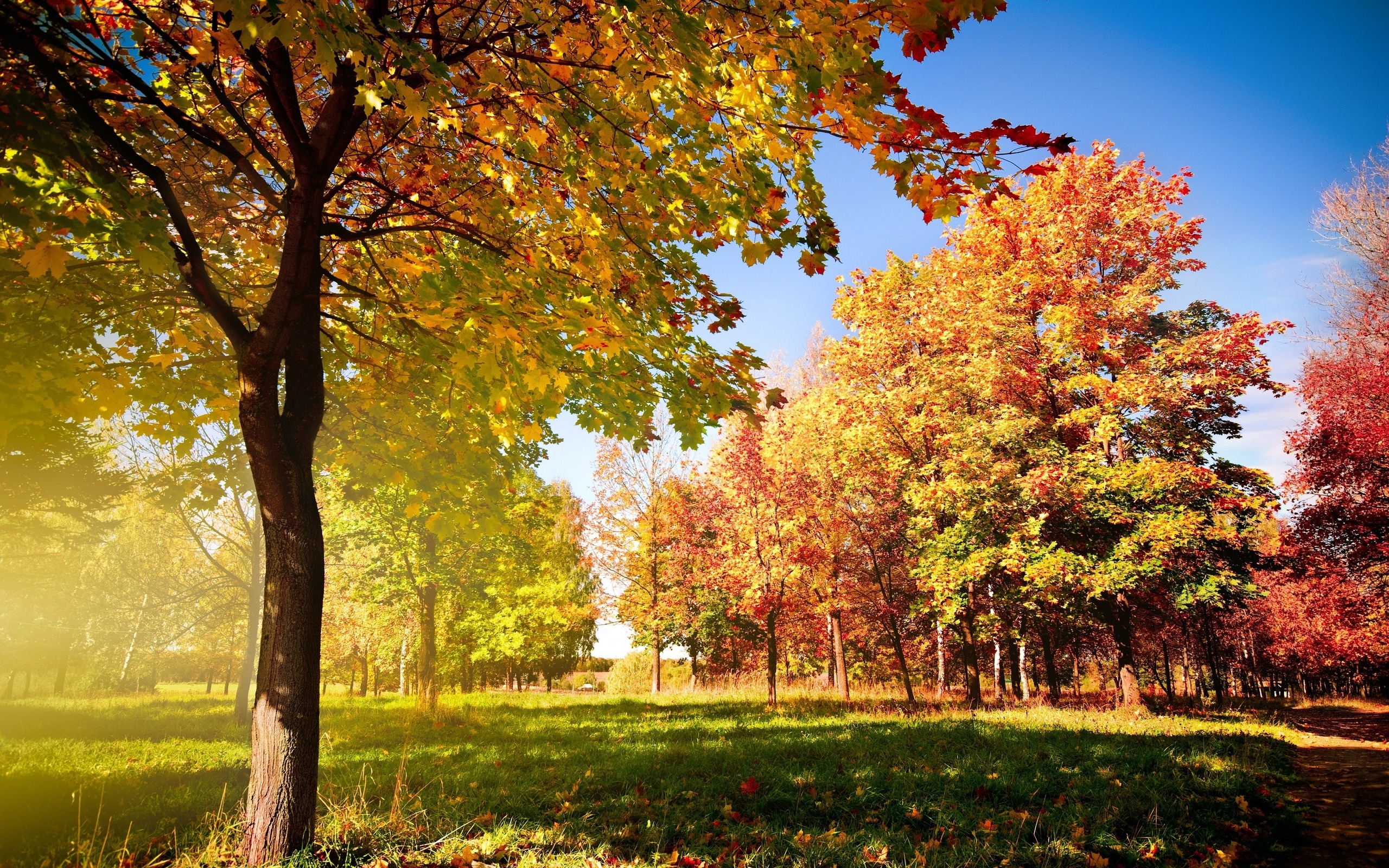 Colorful Autumn Landscape wallpapers and images - wallpapers, pictures ...