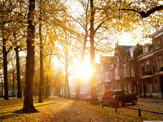 Autumn day in Utrecht wallpapers and images - wallpapers, pictures, photos