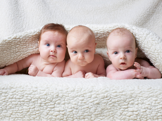 Three babies lie under the blanket wallpapers and images - wallpapers ...