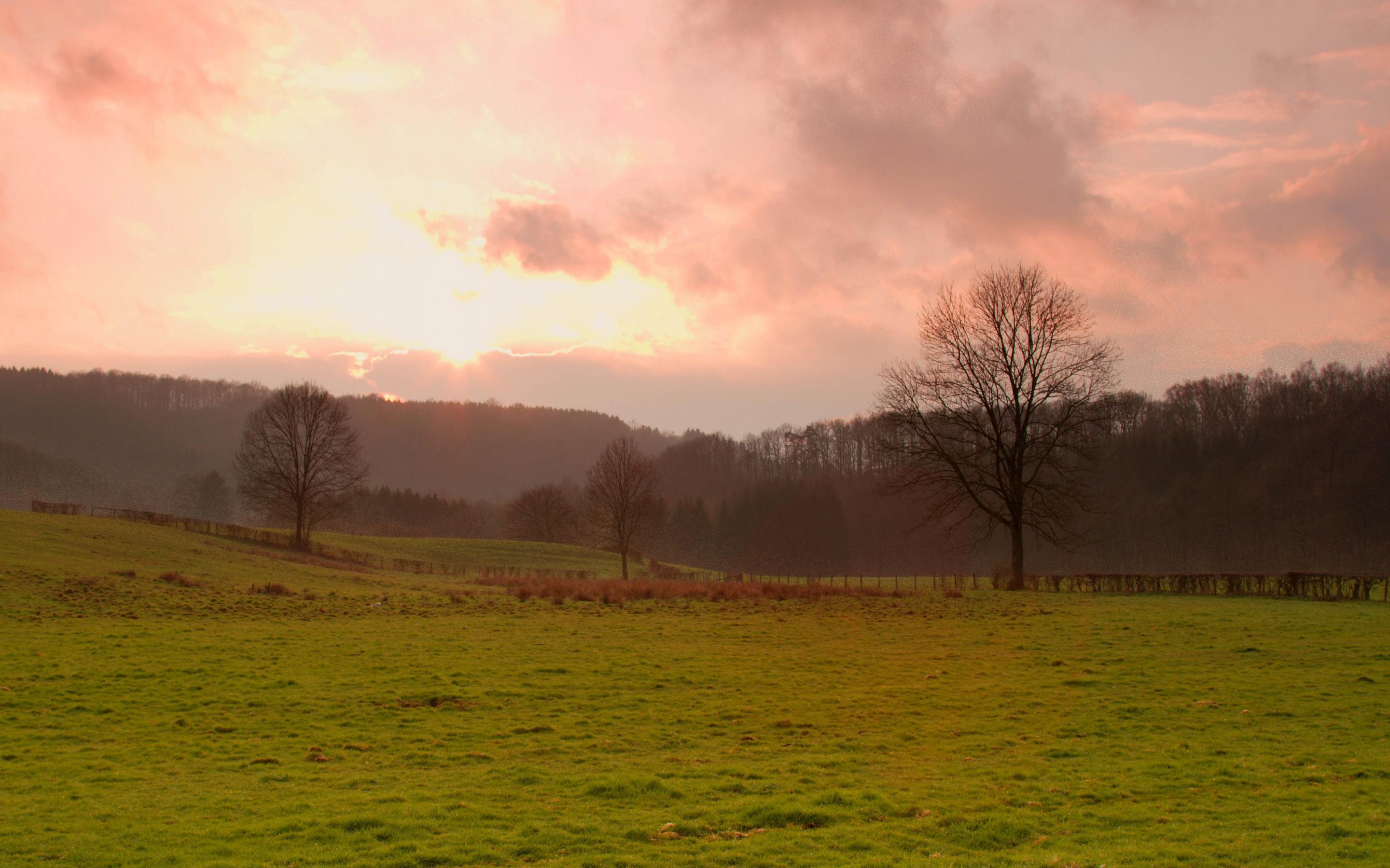 Весенний рассвет - обои для рабочего стола, картинки, фото