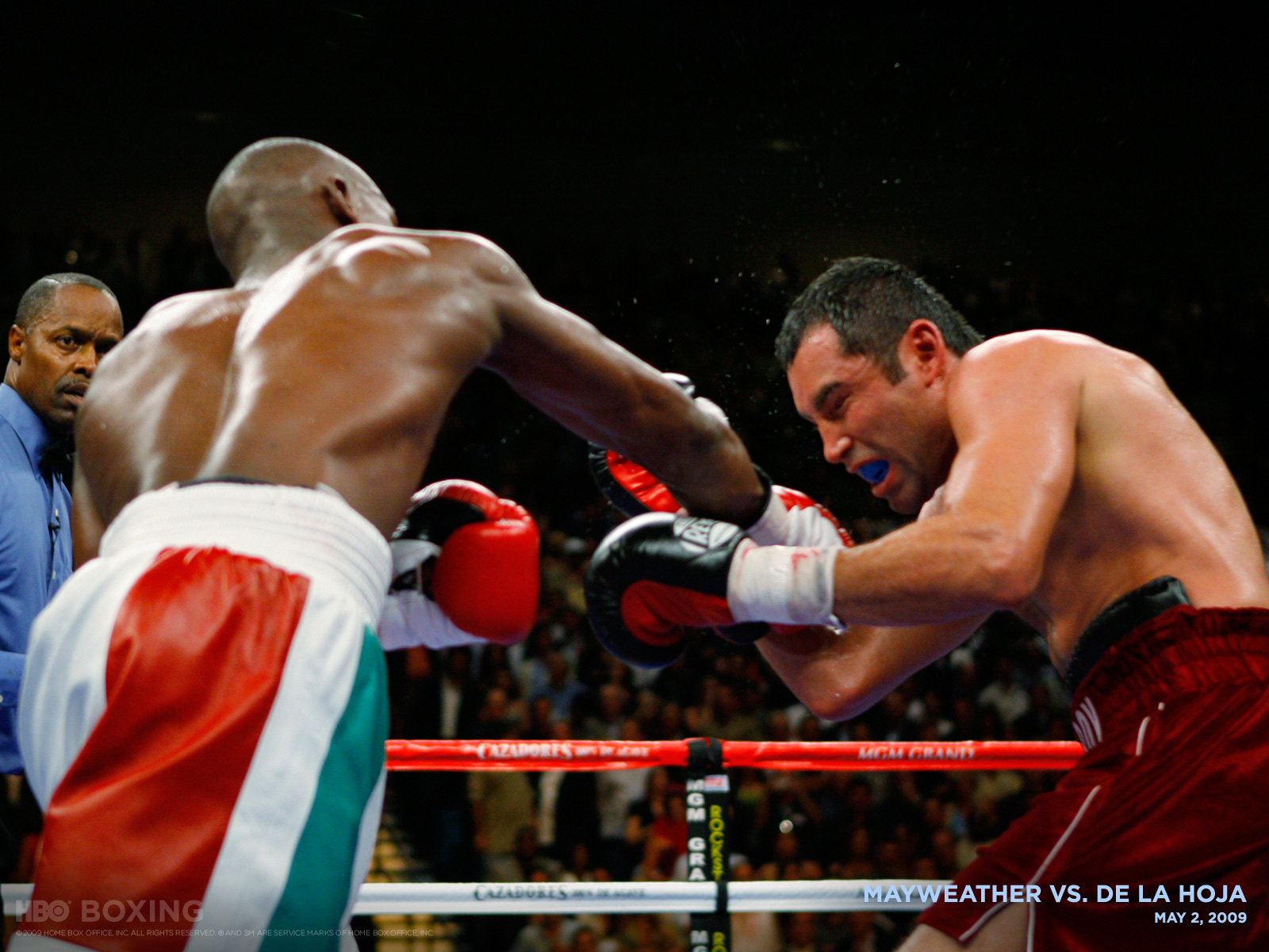 file_download Legendary Boxer Oscar Dela Hoya losing the battle