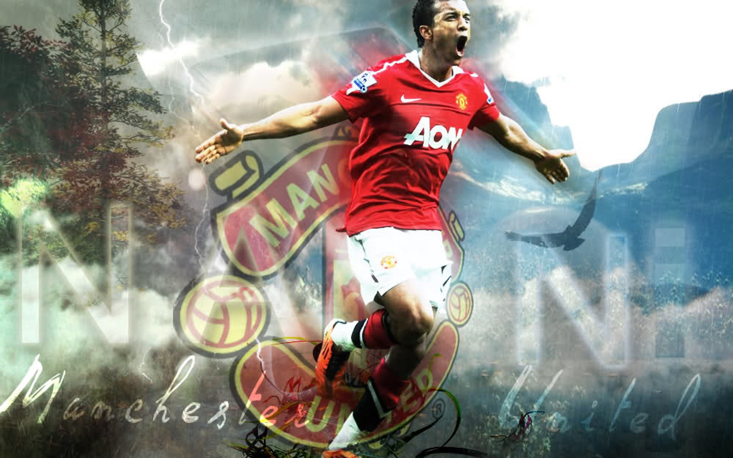 Desktop wallpapers, download wallpapers / Page 8478