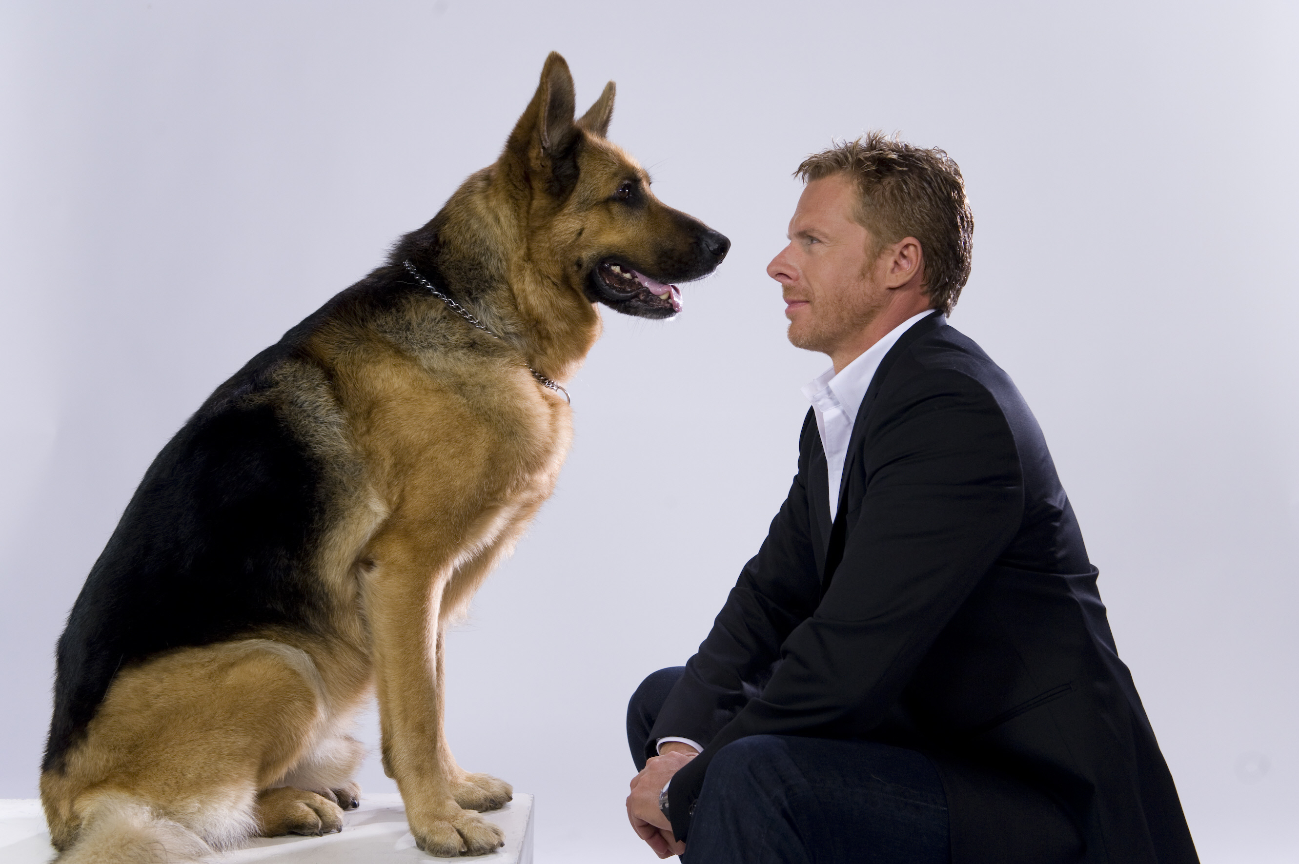 Inspector Rex - Alchetron, The Free Social Encyclopedia