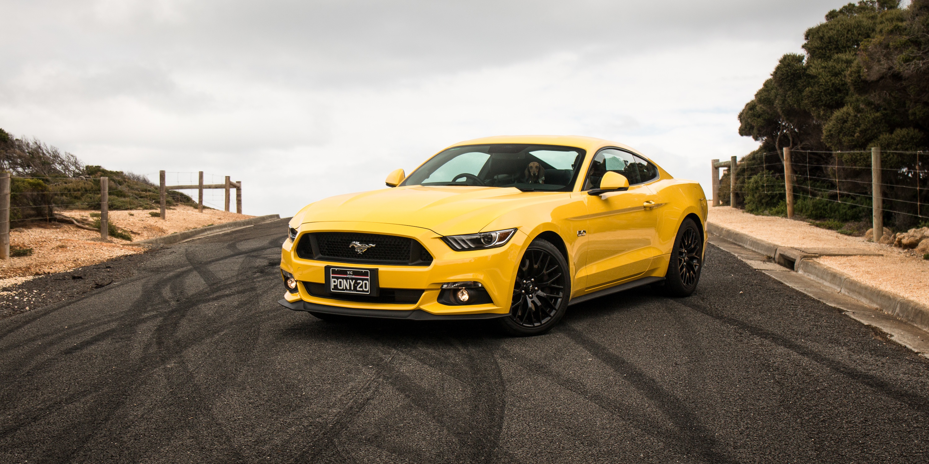 Yellow sports car Ford Mustang on the track wallpapers and images ...