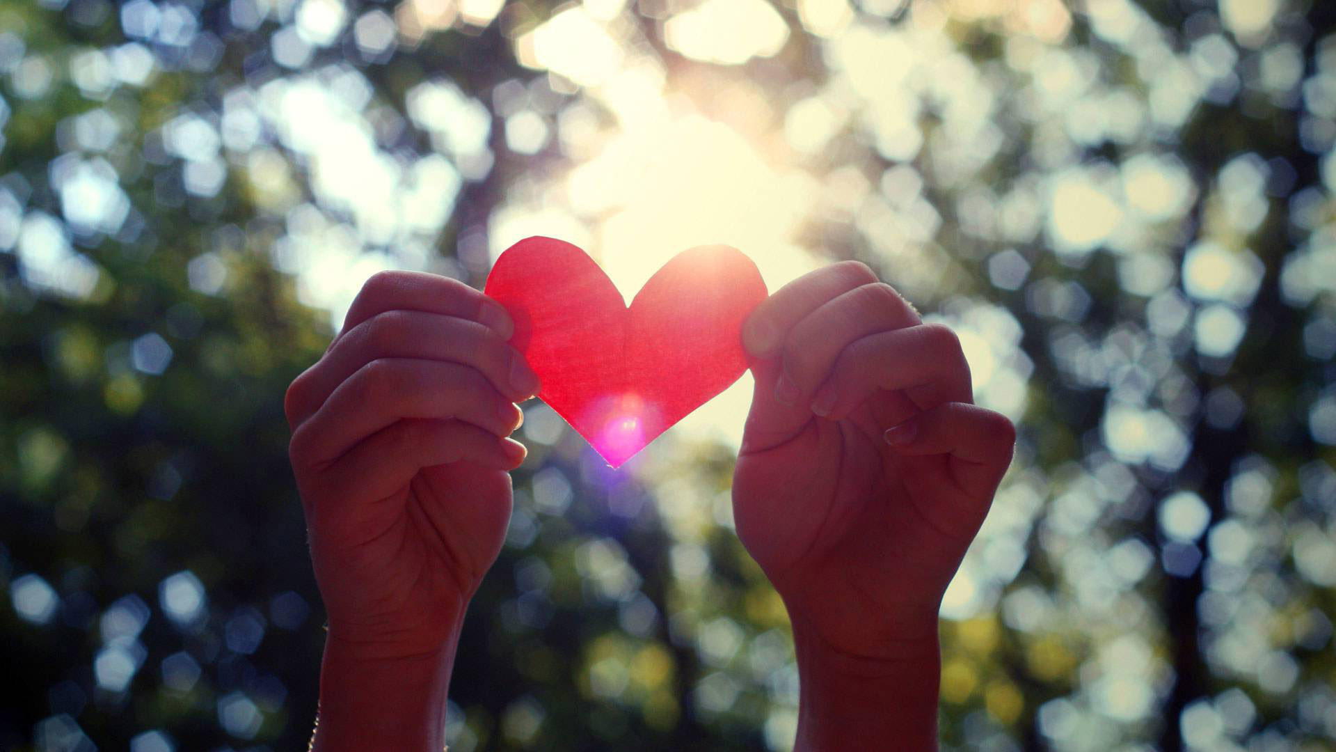 Бумажное сердце в руках - обои для рабочего стола, картинки, фото